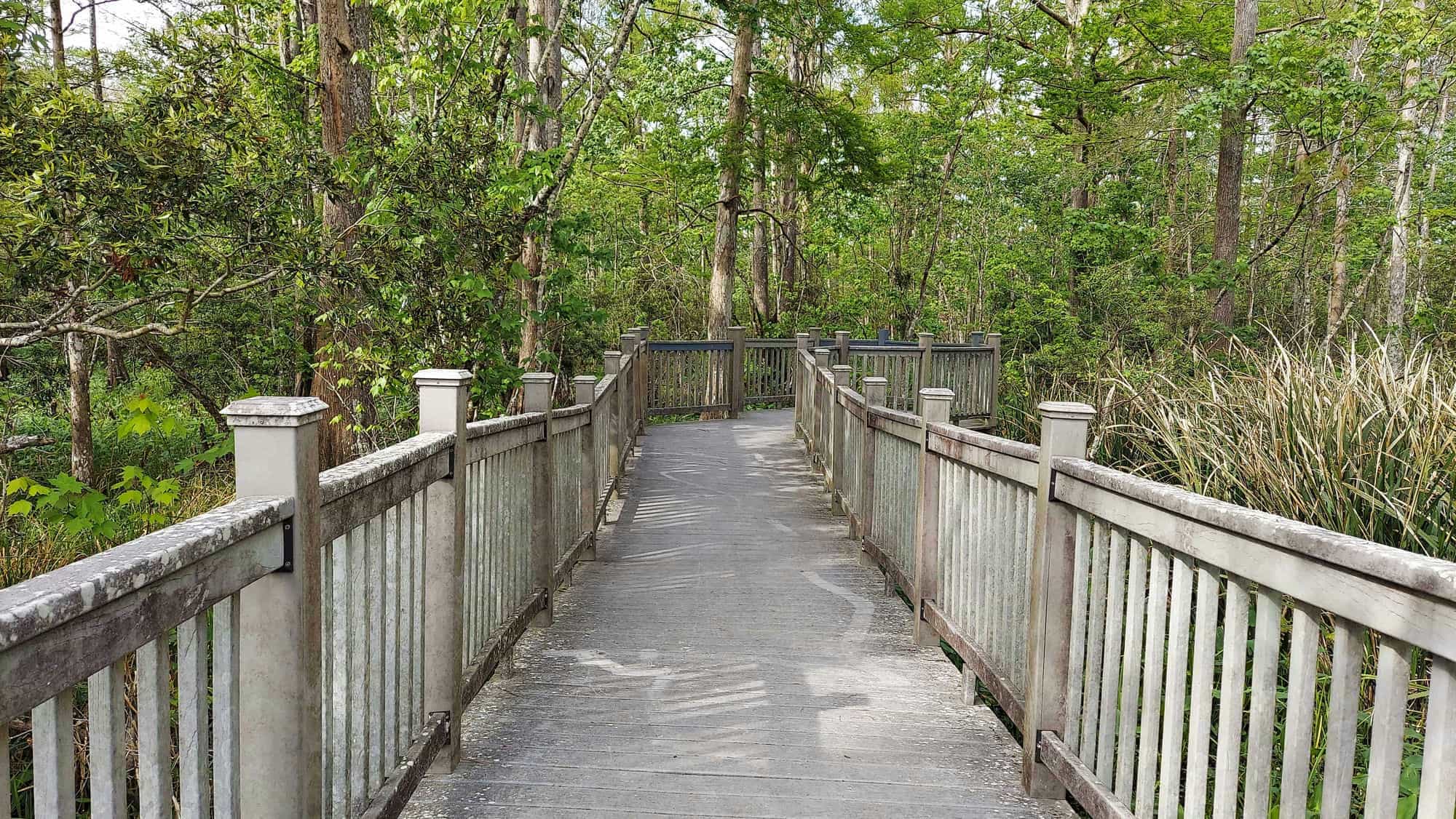 Lockport Elevated Wetlands Boardwalk | LA Cajun Bayou