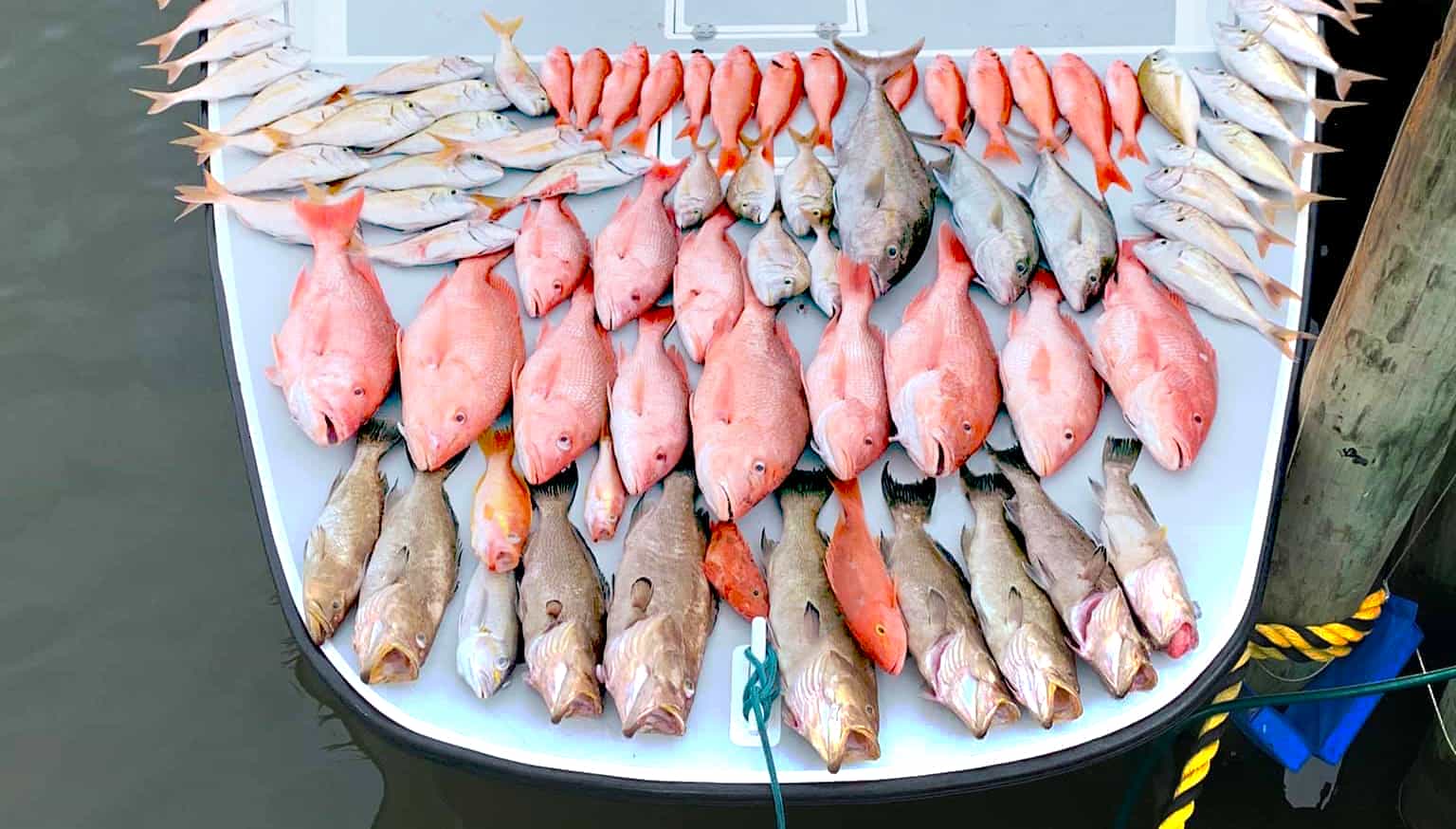 Down the Bayou Fishing Charters | LA Cajun Bayou