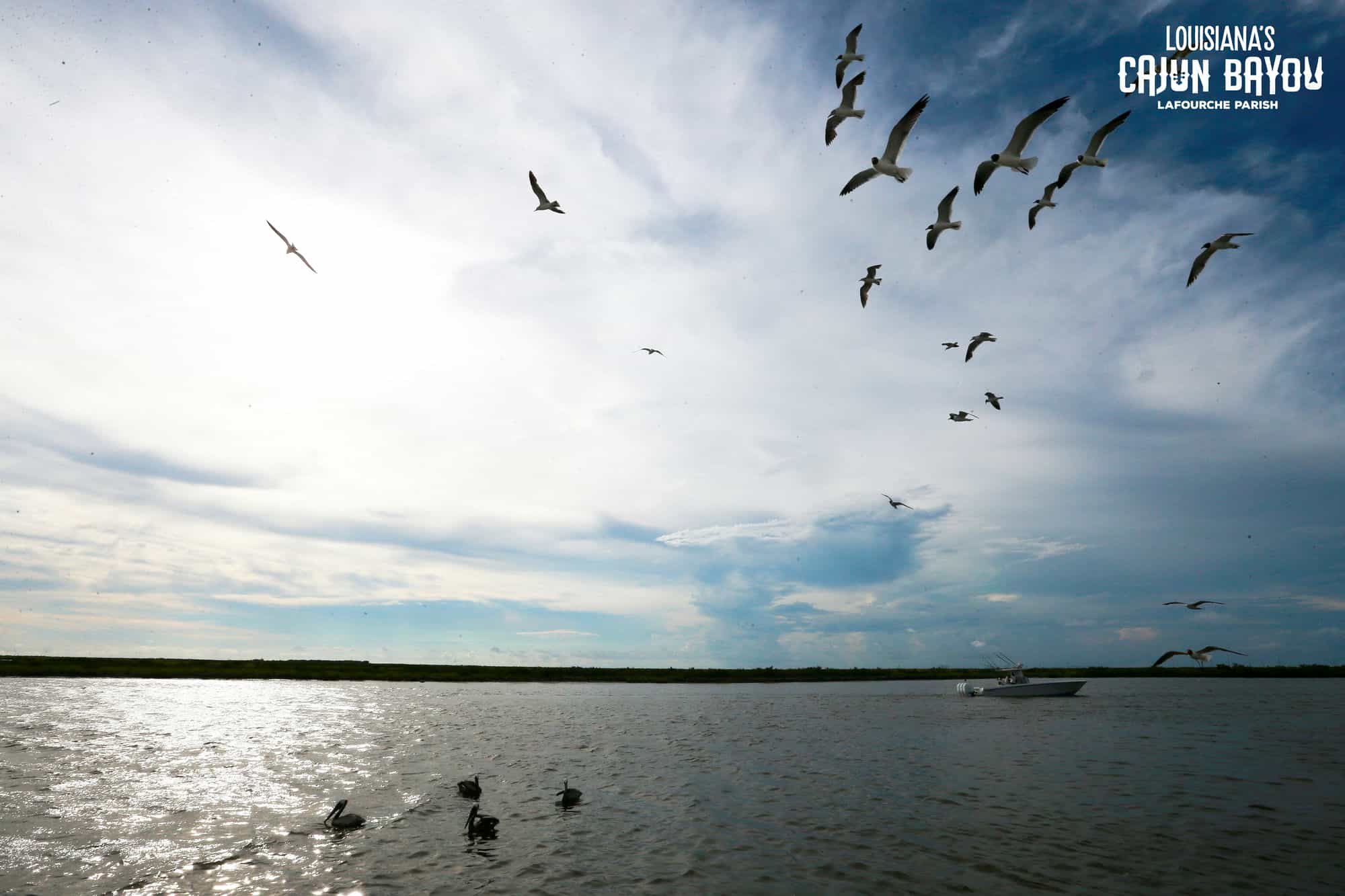 Saltwater Guide Service | LA Cajun Bayou