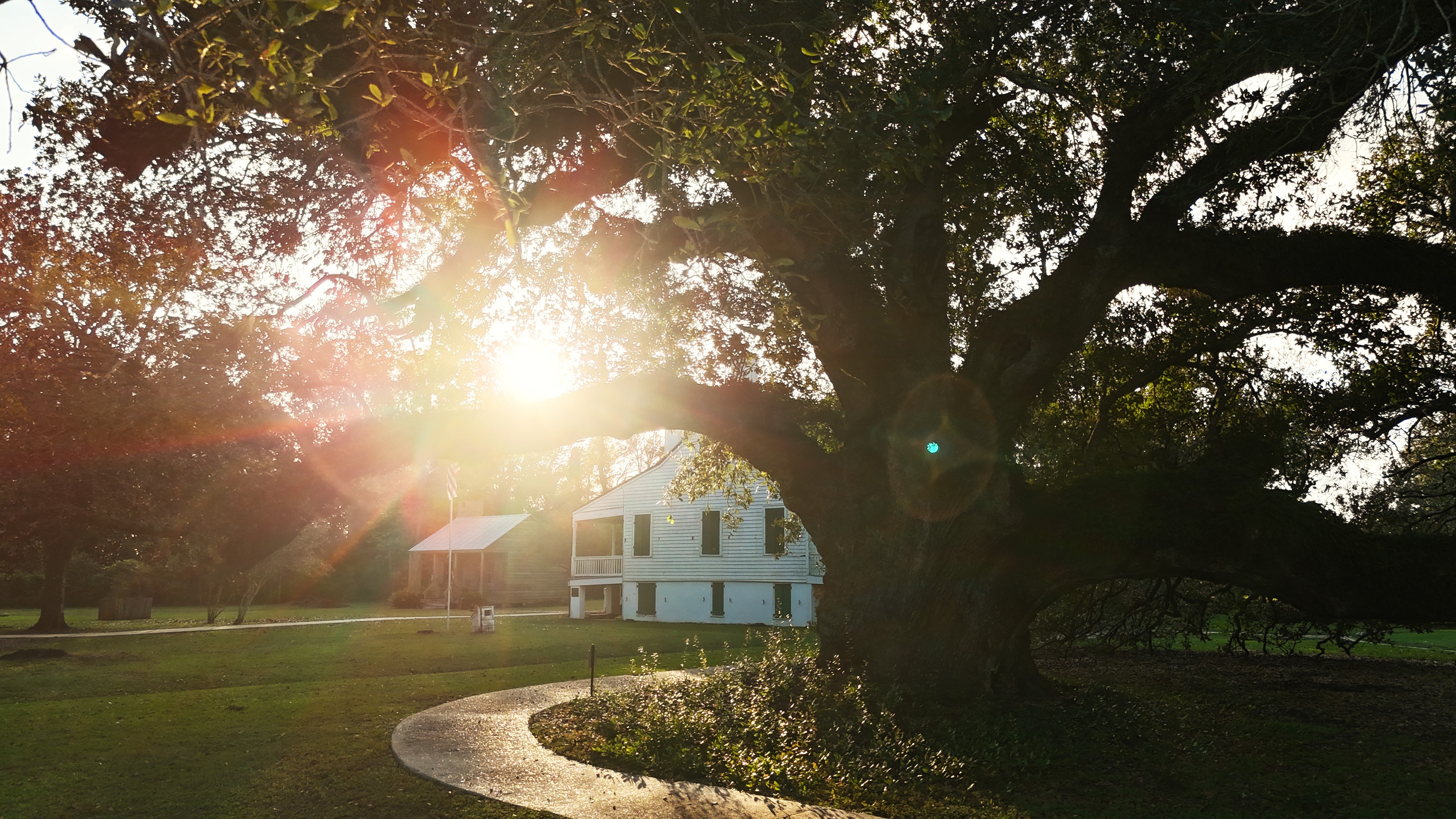 Oaks & Origins: A Bicentennial Celebration of the E.D. White Historic Site