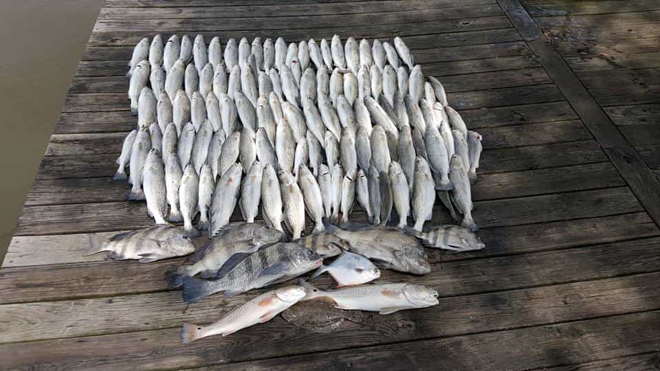 Rippin Lip Guide Service | LA Cajun Bayou